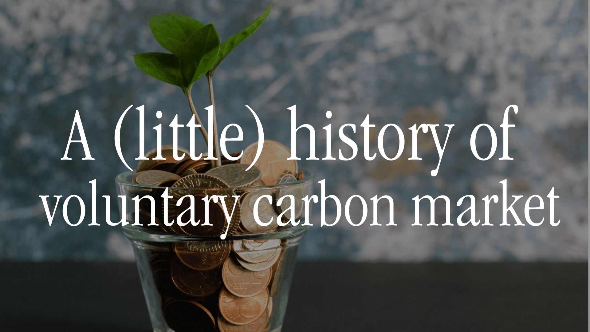 A (little) history of the voluntary carbon market | Arbonics