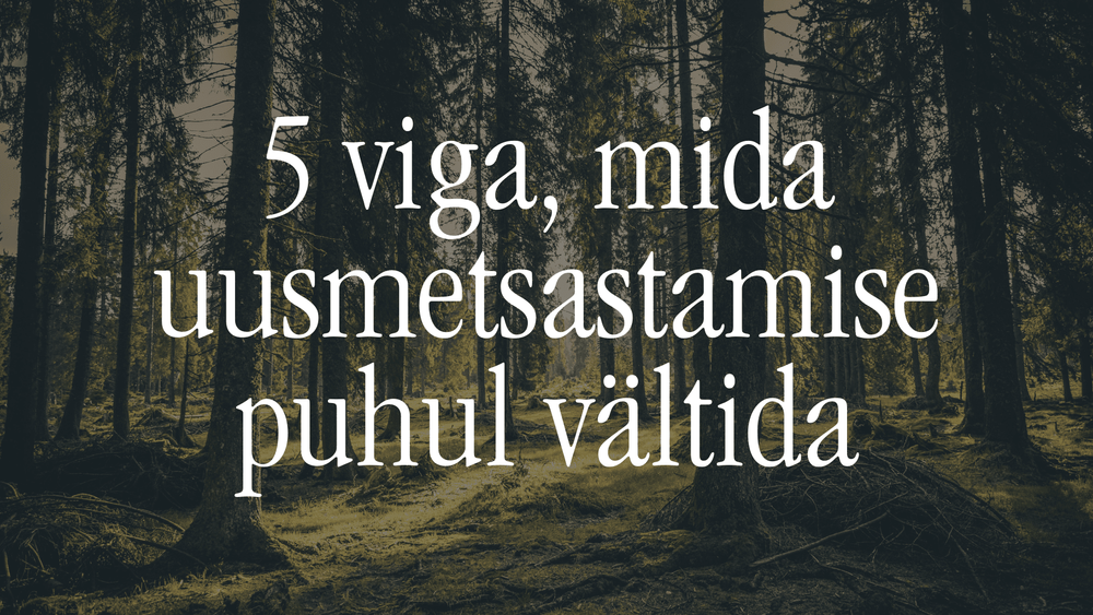 5 viga, mida uusmetsastamise puhul vältida | Arbonics