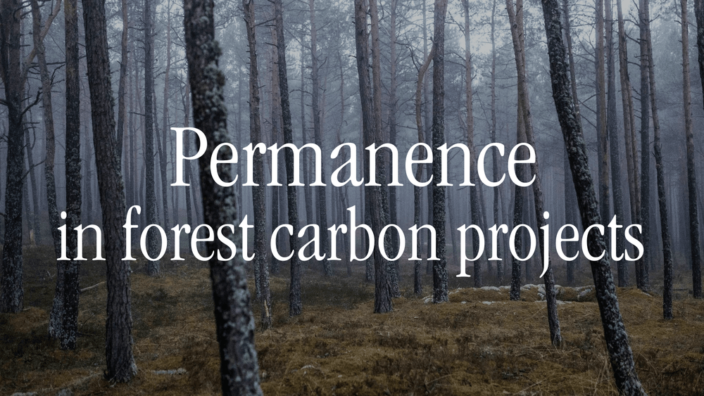 ABC: what is permanence? | Arbonics