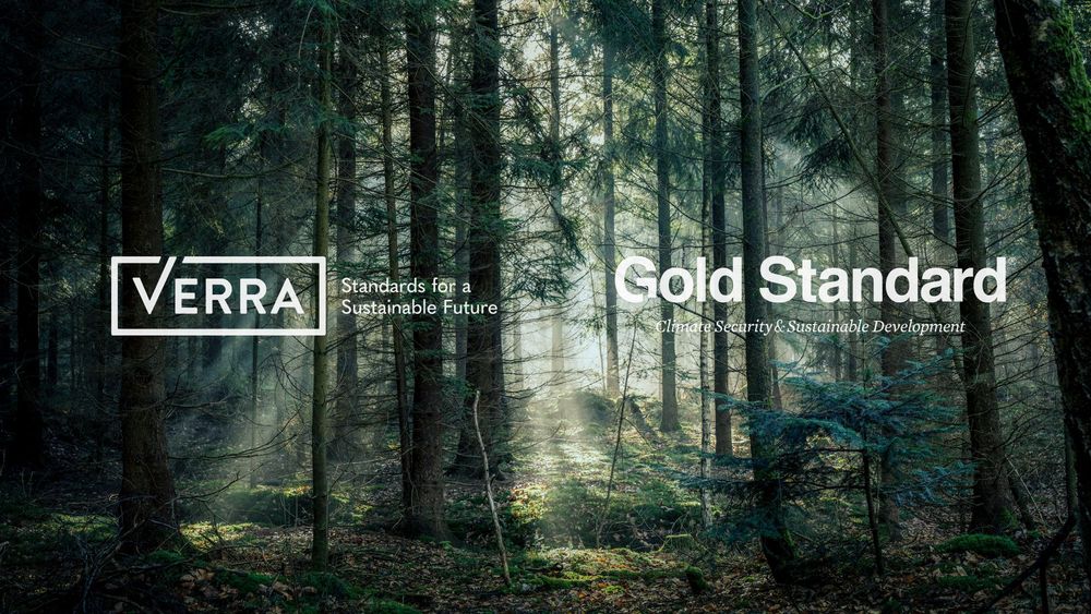ABC: who are Verra and Gold Standard? | Arbonics